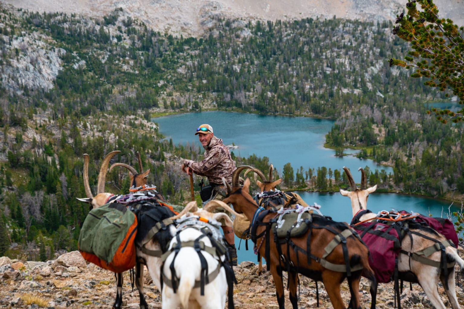 Goats – Ripple Ranch Idaho